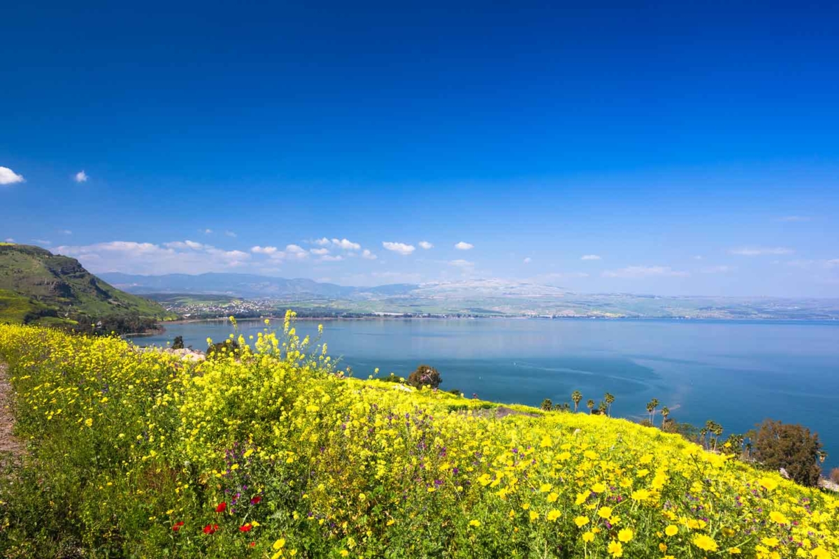 Spring in Israel | Immanuel Tours