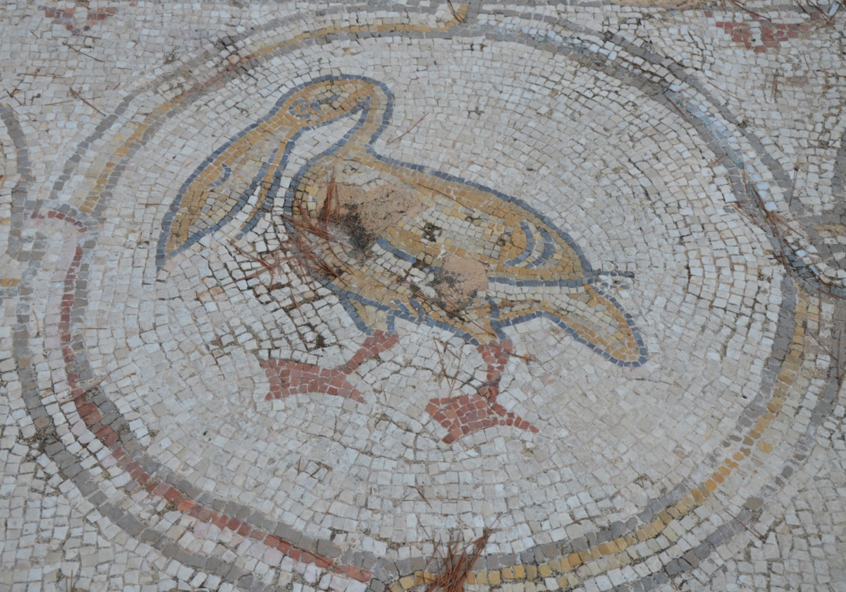 Mosaics in Israel | Immanuel Tours