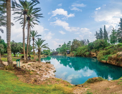 Exploring Israel's Natural Treasures: 6 National Parks You Should Visit ...