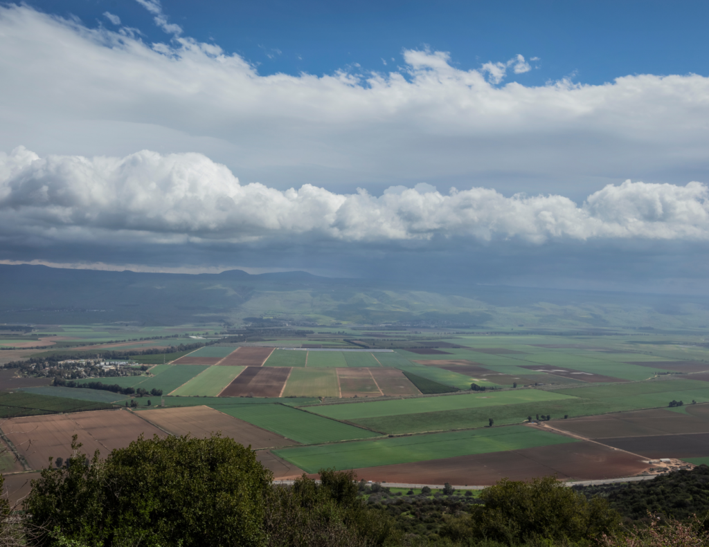 Embracing Community: A Visit to a Kibbutz in the Holy Land | Immanuel Tours