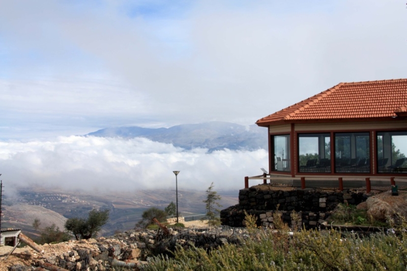 Embracing Community: A Visit to a Kibbutz in the Holy Land | Immanuel Tours